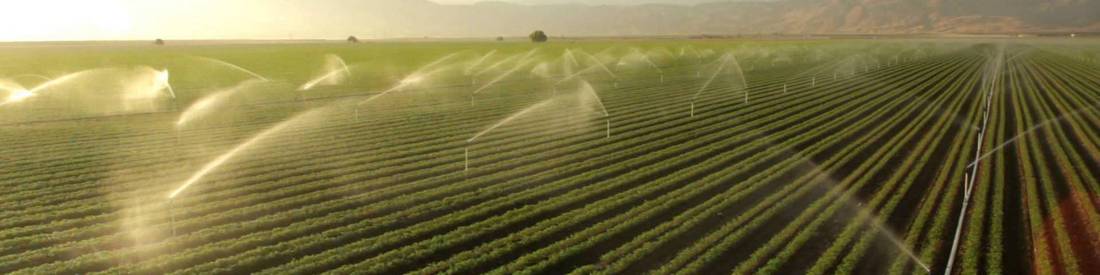 Pump and Irrigation Speciallist